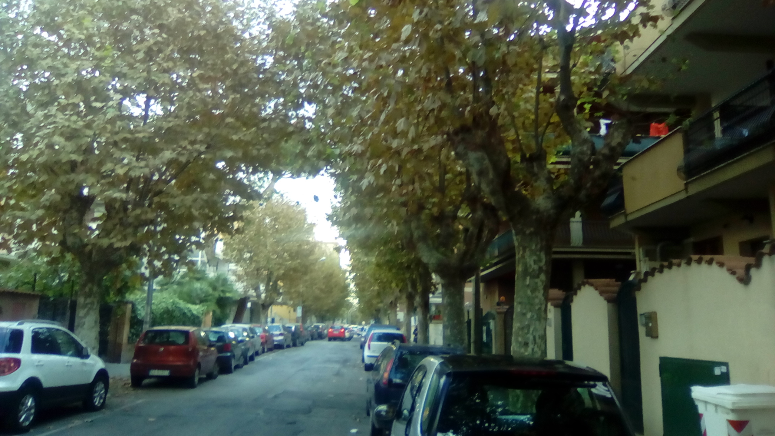 Proteste in via Palermo a Ladispoli per l'insopportabile rumore dei ...