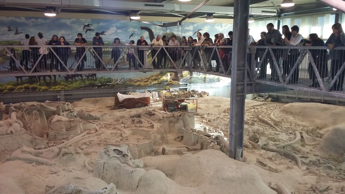 La polledrara di Cecanibbio sulla via Aurelia dove l’uomo preistorico ...